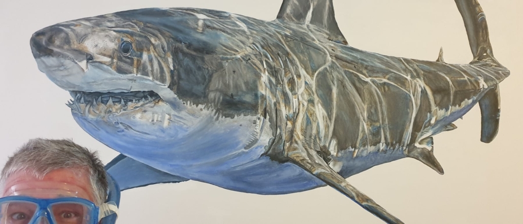 Rod Bailey – Australian Artist – Portraiture and Landcapes